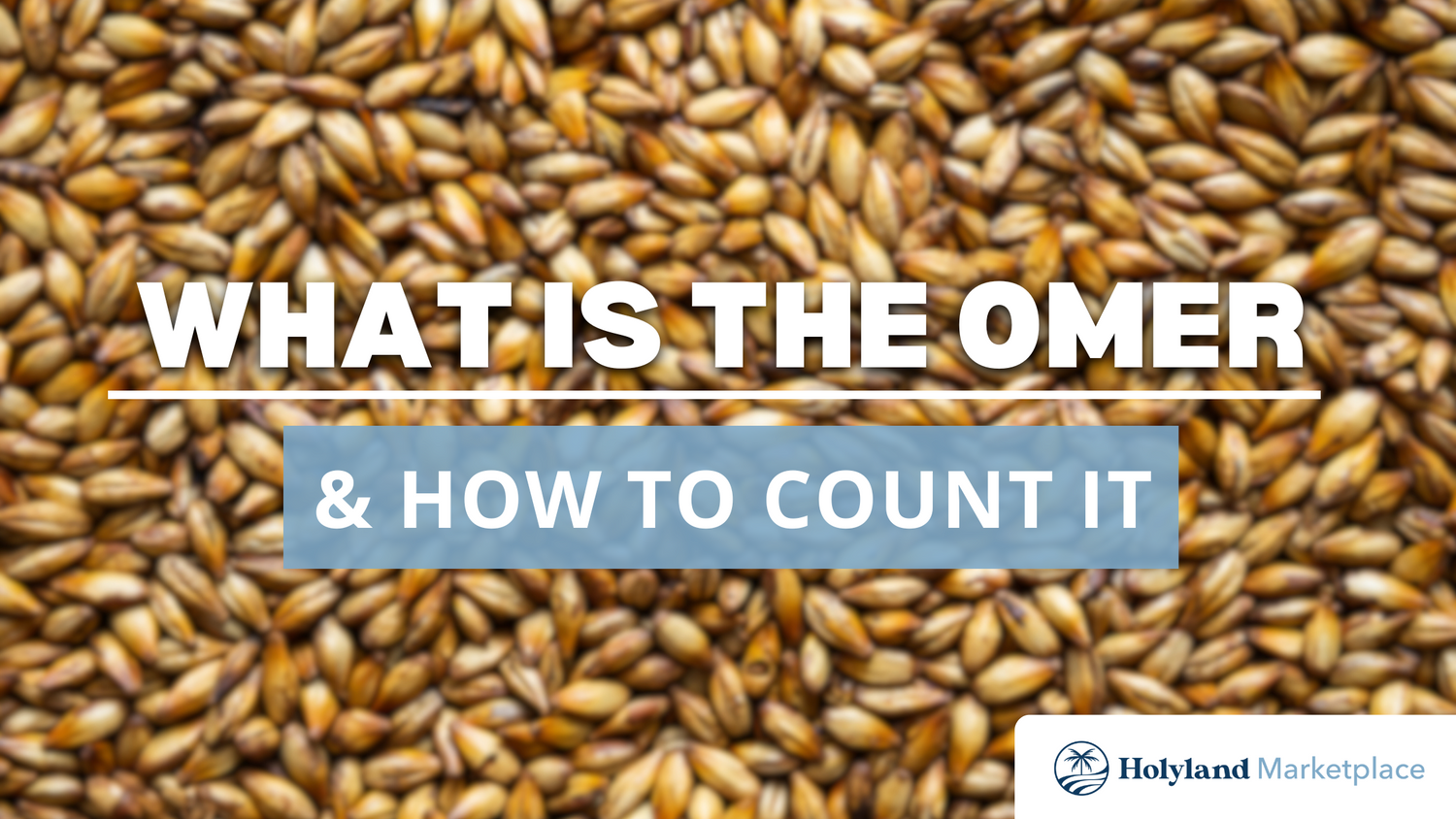 What Is The Omer; How Do You Count It? – Holyland Marketplace