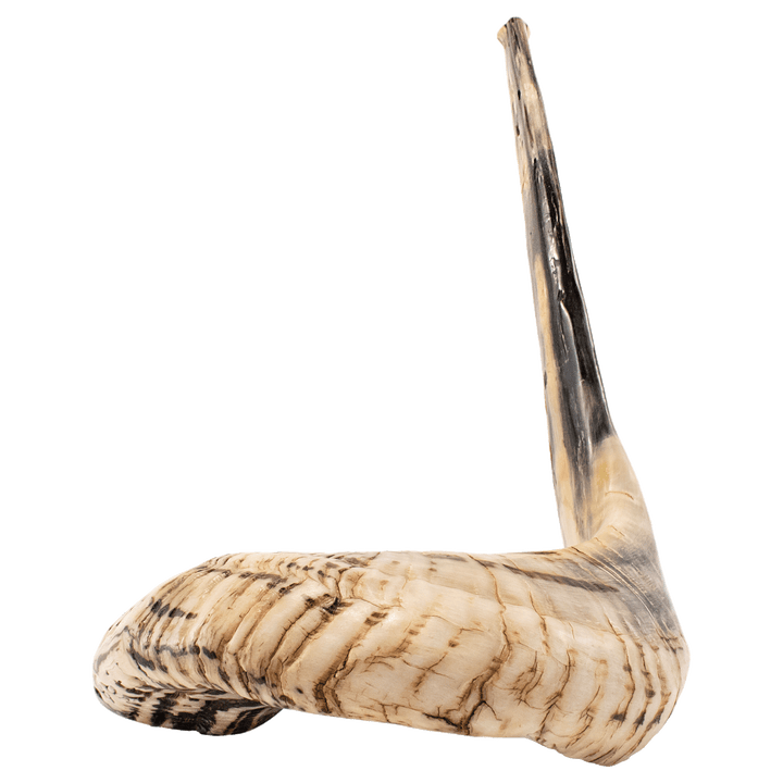 Gifts - Other - Shofars & Accessories – Holyland Marketplace
