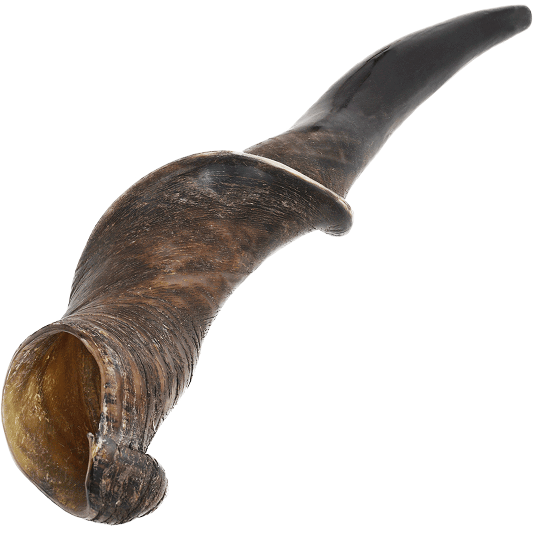Judaica - Shofars – Page 2 – Holyland Marketplace