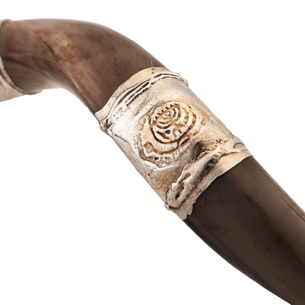 Gifts - Other - Shofars & Accessories – Page 2 – Holyland Marketplace