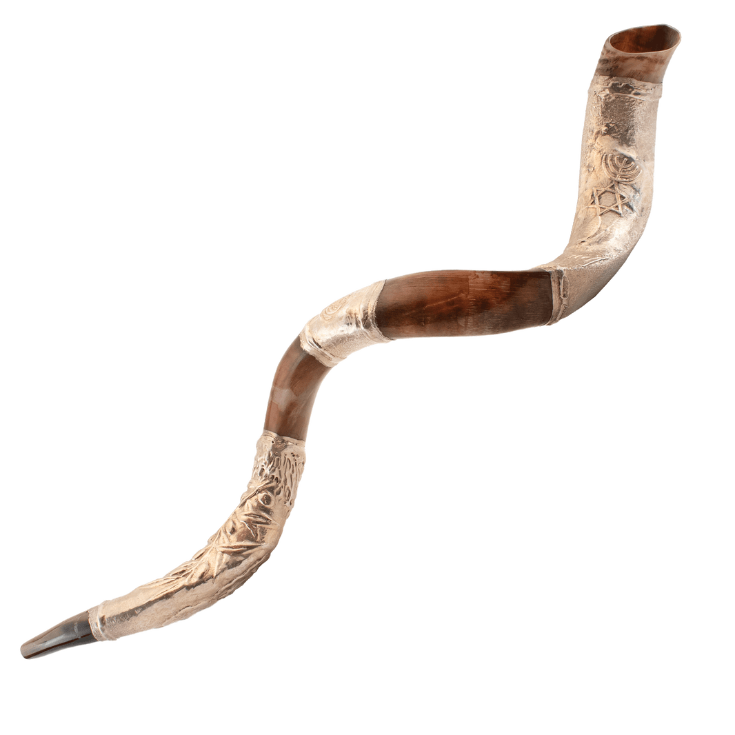 Gifts - Other - Shofars & Accessories – Page 2 – Holyland Marketplace
