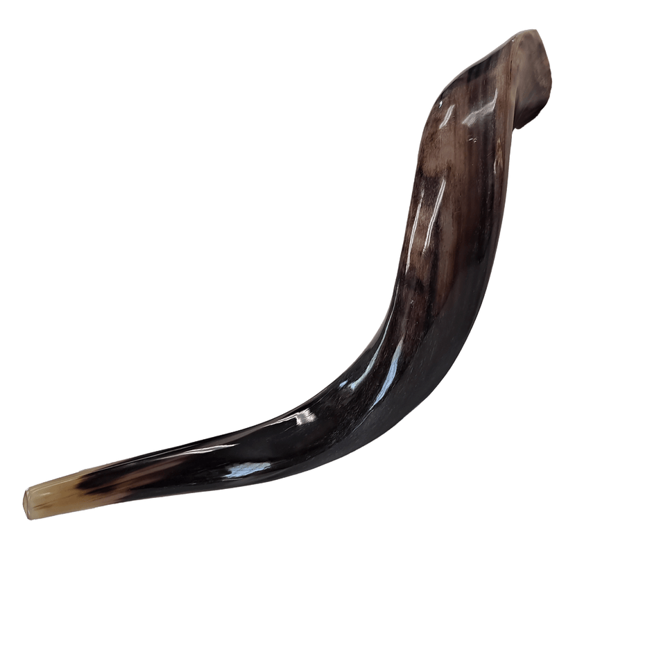 Gifts - Other - Shofars & Accessories – Holyland Marketplace