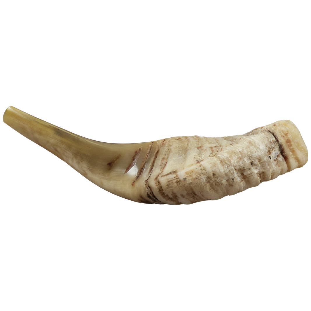 Judaica - Shofars – Page 4 – Holyland Marketplace